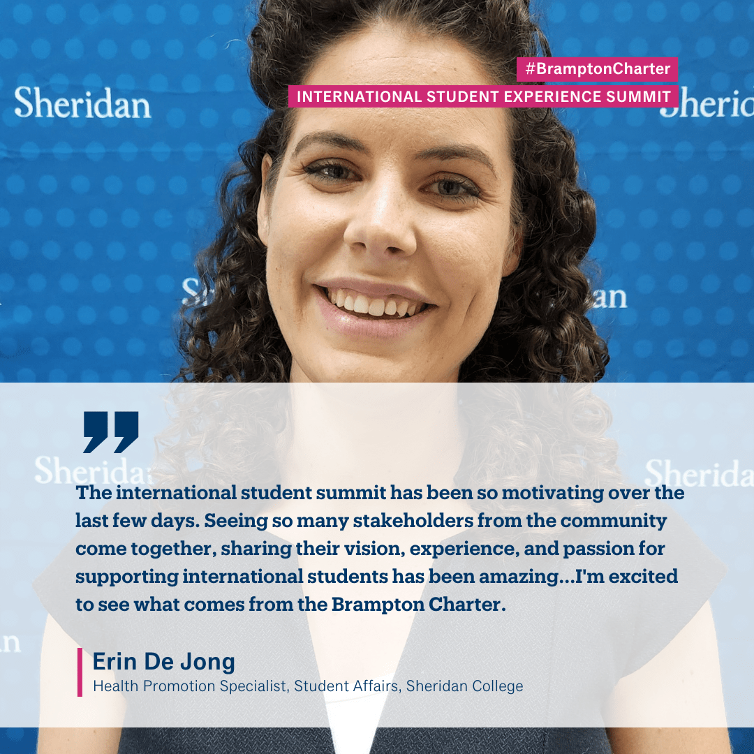 Brampton Charter for Improving the International Student Experience | Institutional Plans ...