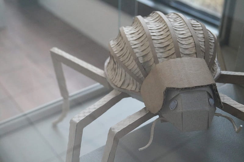 Putting the art in arthropod | Arts & Design | Sheridan College