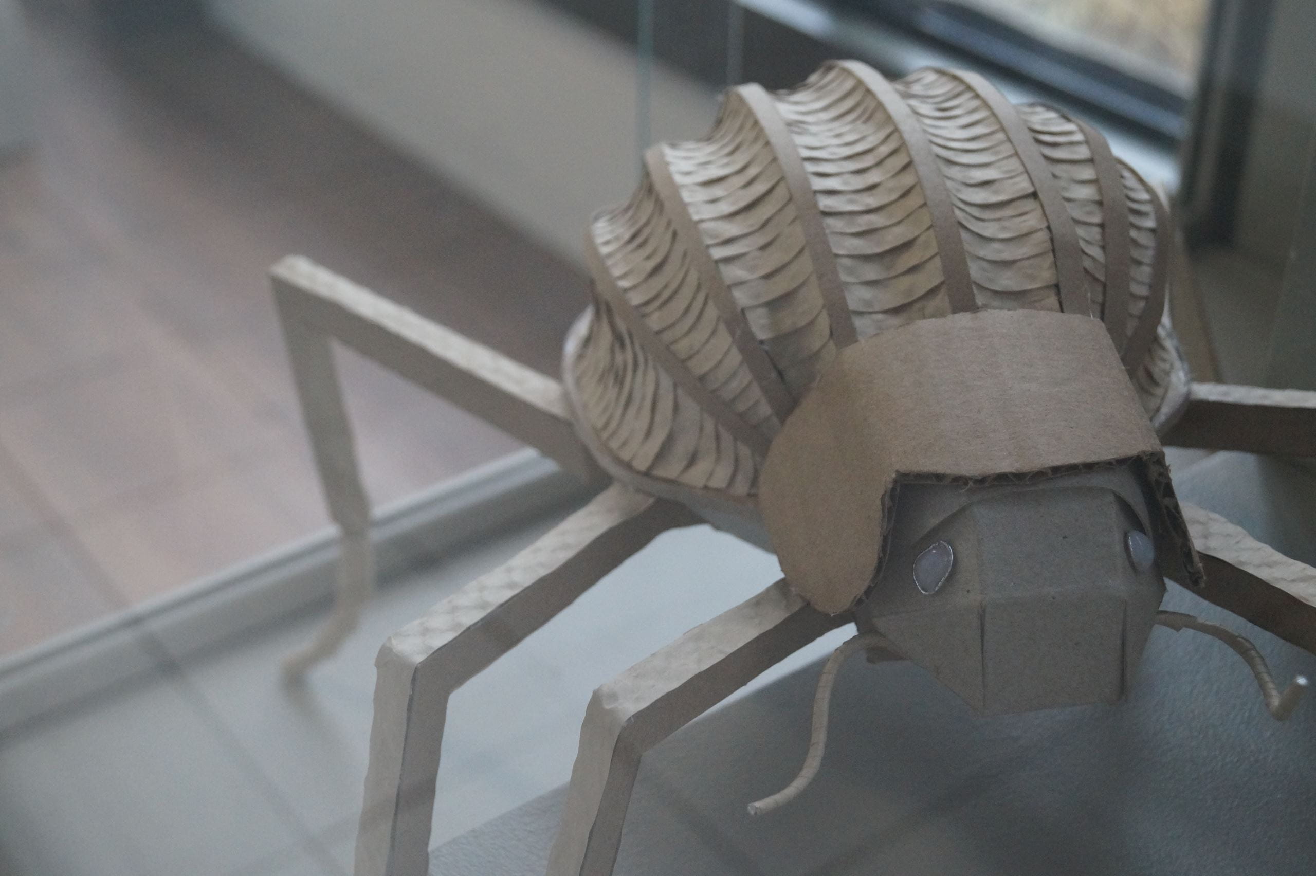 Putting the art in arthropod | Arts & Design | Sheridan College