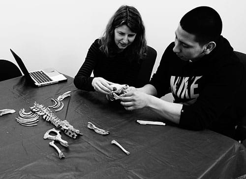 Reading the bones | Teaching & Learning | Sheridan College