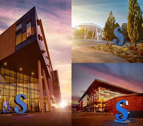 News Releases | Newsroom | Sheridan College