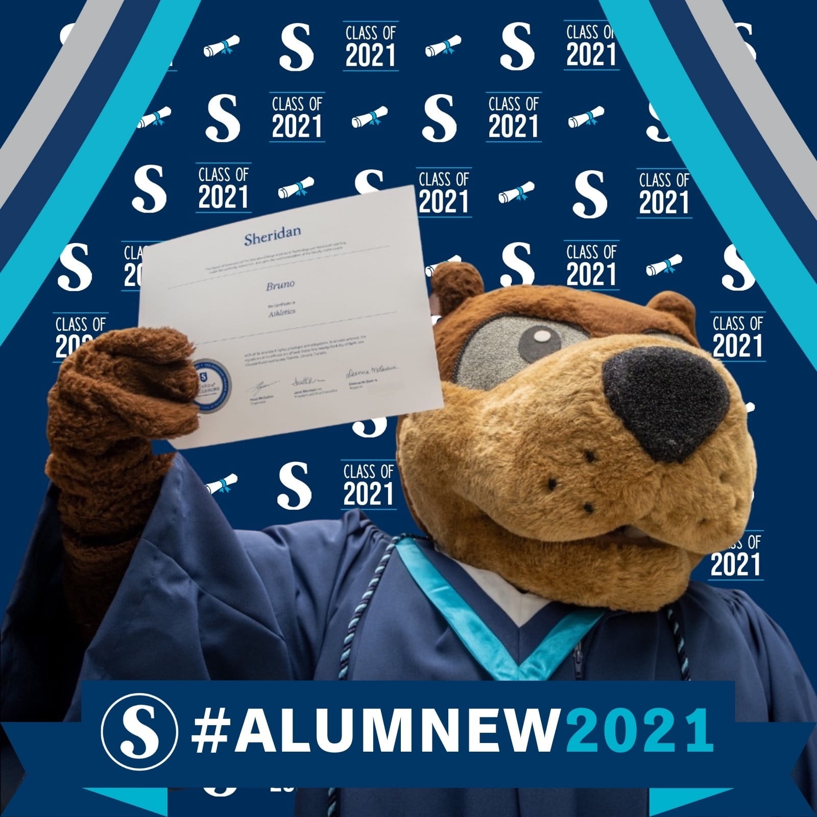 Sheridan launches over 2,400 graduates in fall convocation | 11 ...
