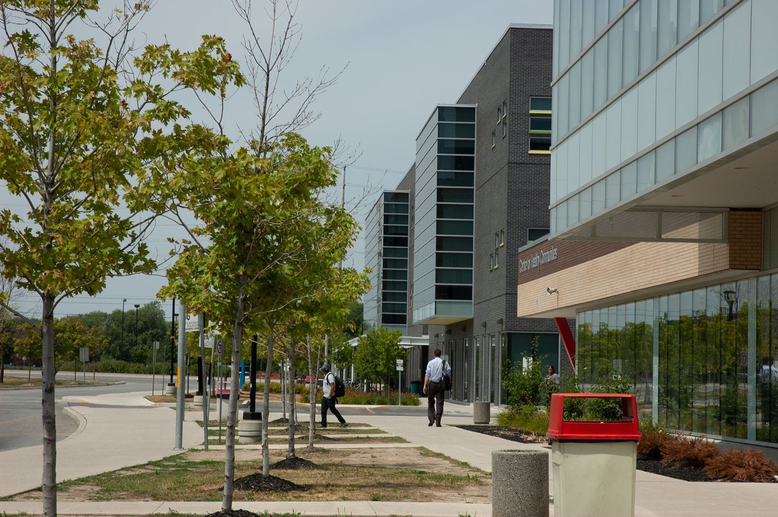 Brampton health care leaders urge collaboration and call for a greater ...